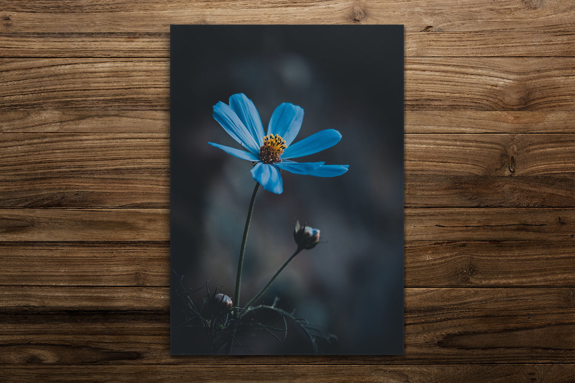 HD Finish, de ultieme fine-art variant van HD Metal. | Visual Impact ...